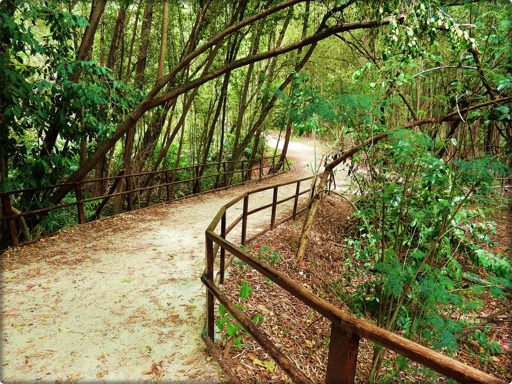 Visitas ao Parque do Cocó crescem quase 30% - Brasil 247