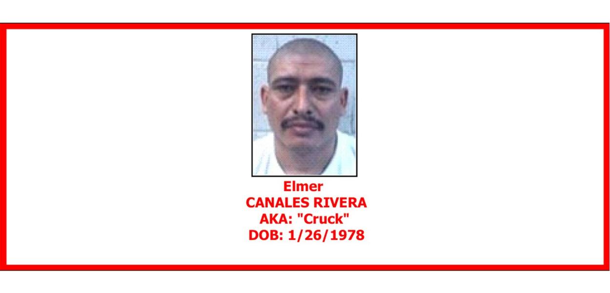 US Captures “Crook”, MS-13 Fugitive Released by Bukele Administration ...