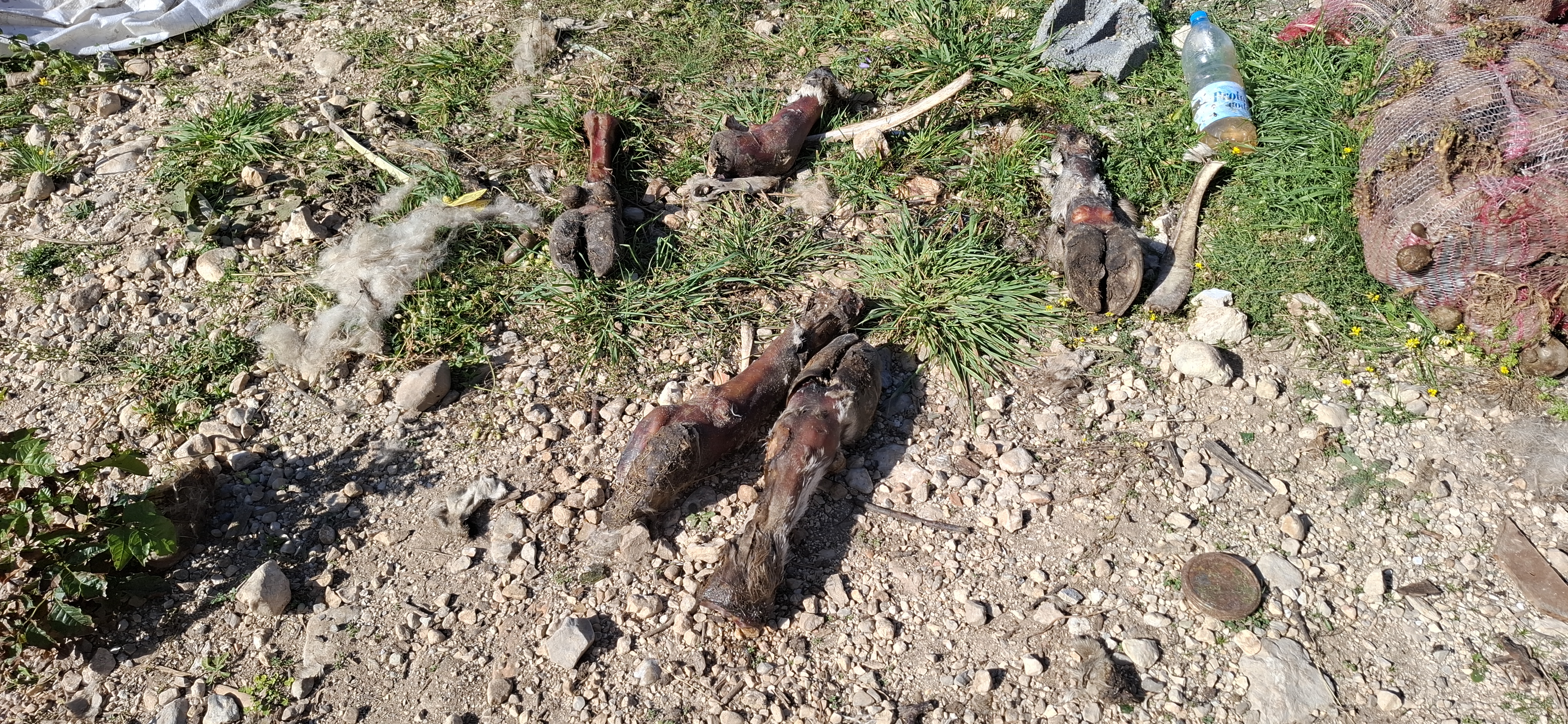 Traže uklanjanje divljih deponija iz Župe | Portal ETV