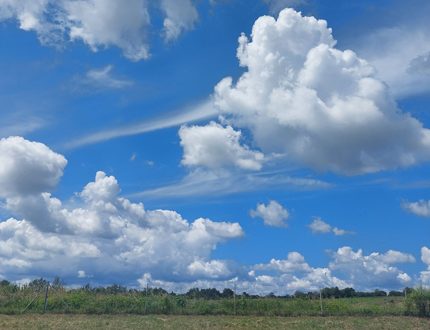 Danas toplo, do 17 stepeni, popodne naoblačenje i kiša | Portal ETV