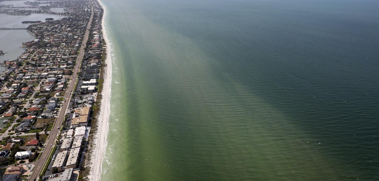 Ogromna količina morske trave preti obalama Floride i Meksika, vidi se ...
