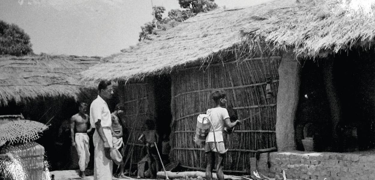 The insect that changed Nepal’s history | Nepali Times