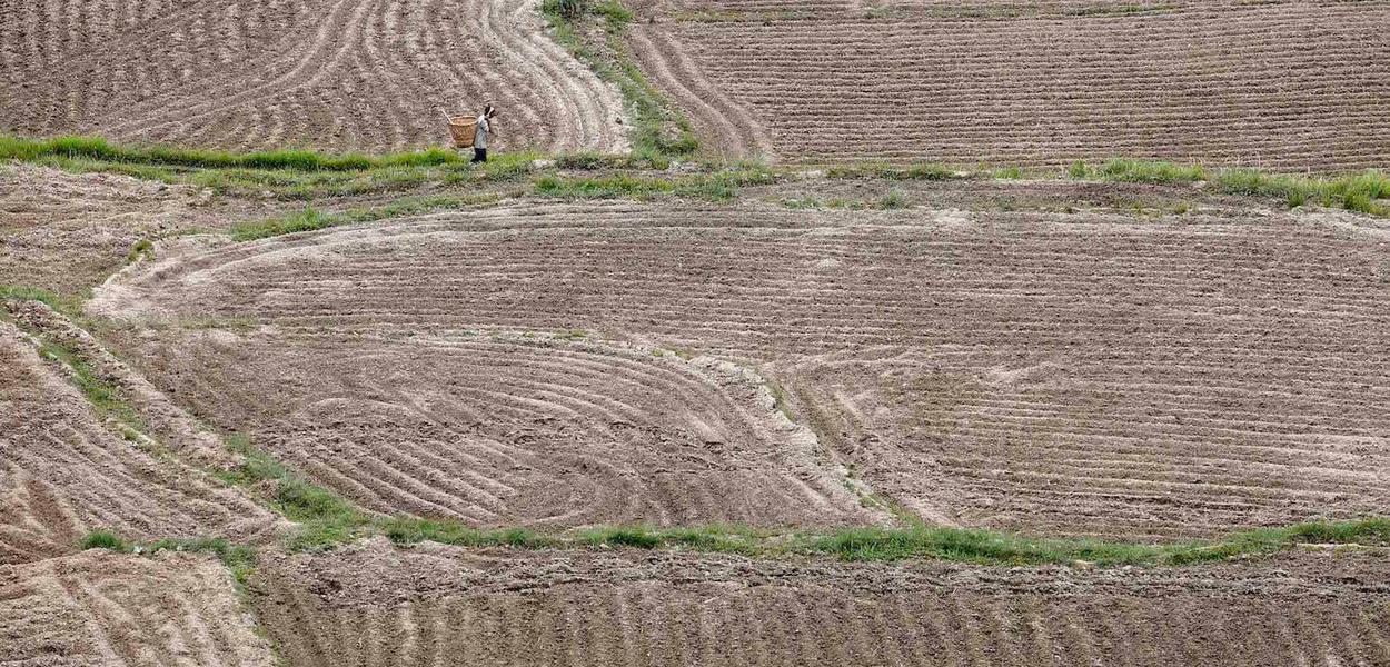 Dhan Diwas | Nepali Times