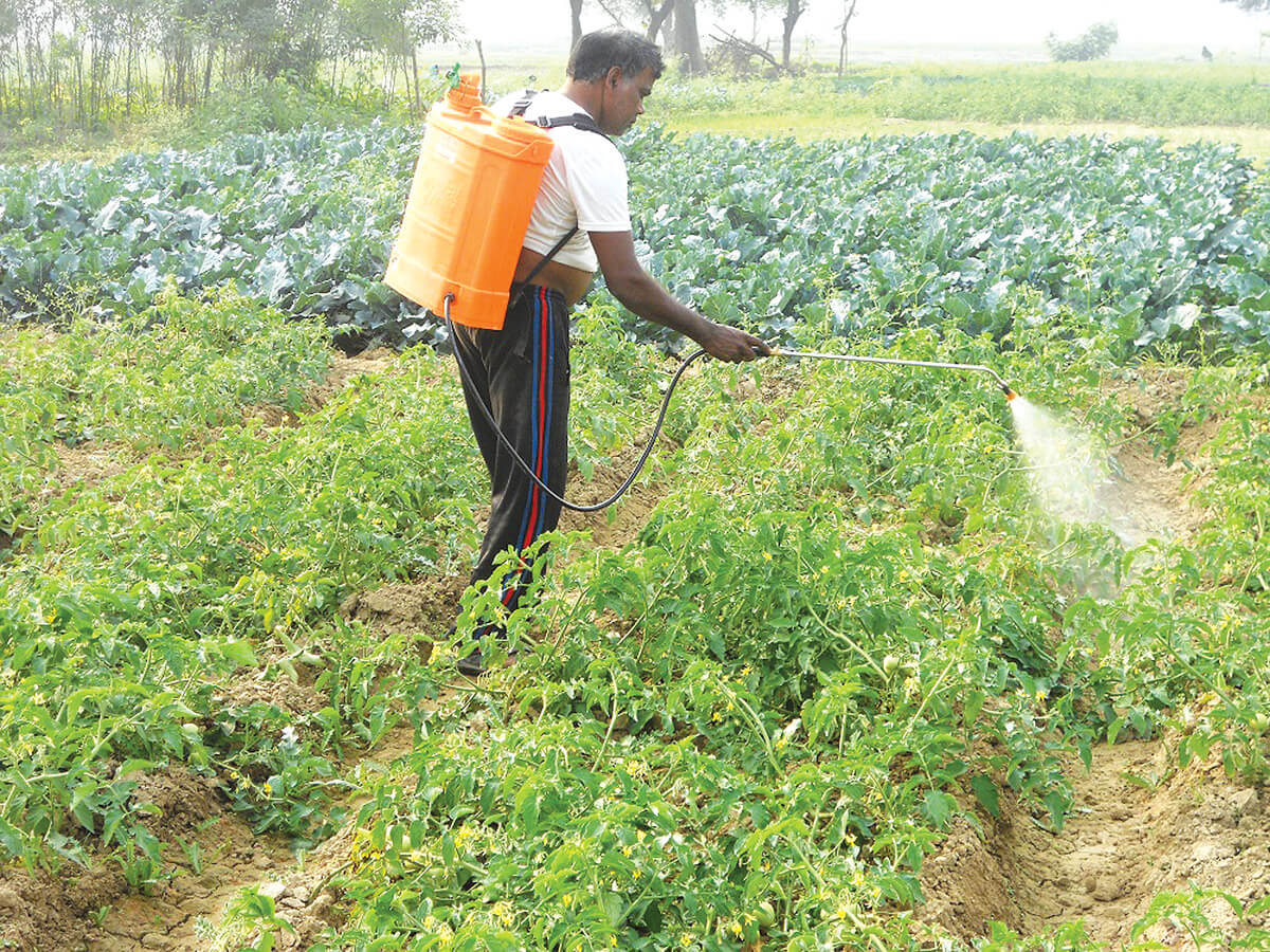 Banned pesticides are widely used in Nepal | Nepali Times