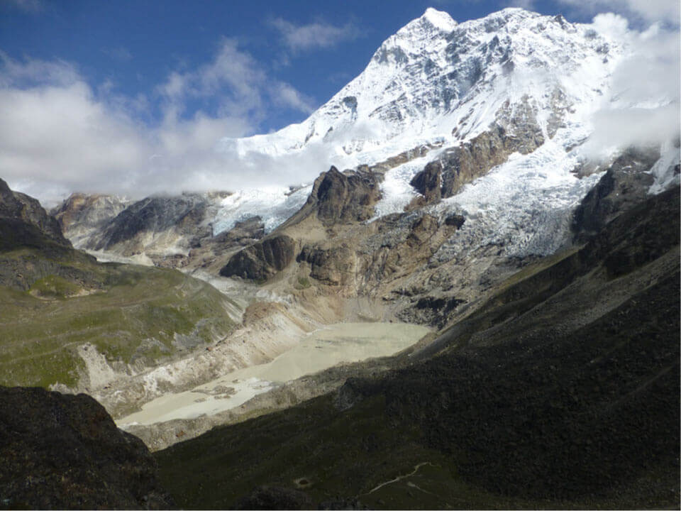 It's yarsa-picking time | Nepali Times