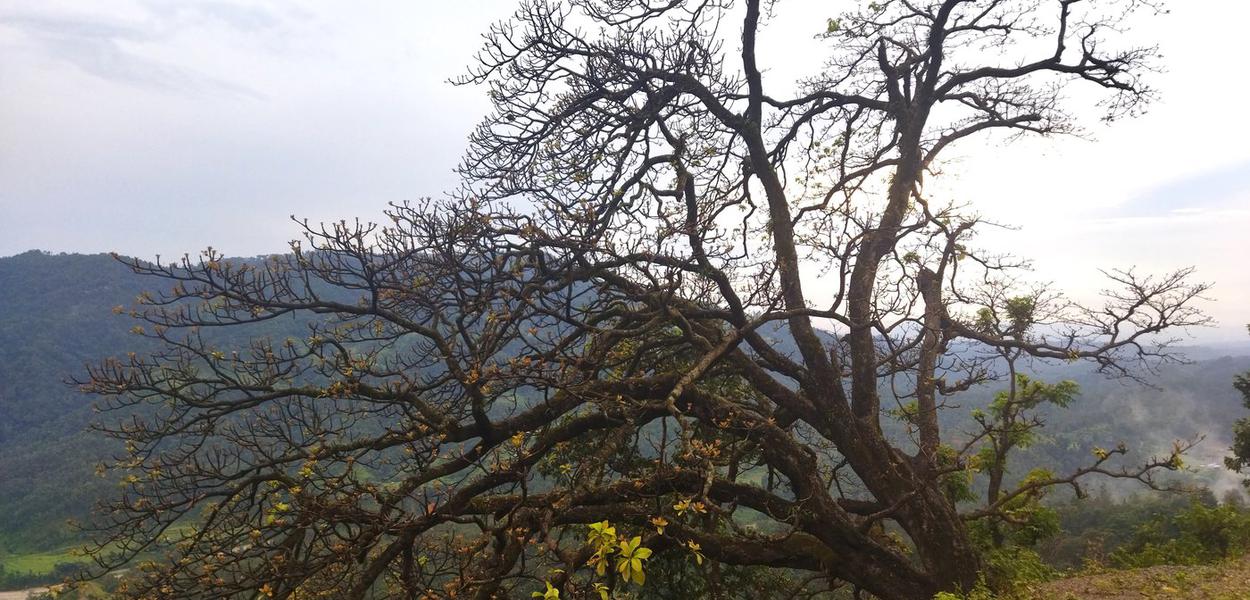 Chepang and their Chiuri | Nepali Times