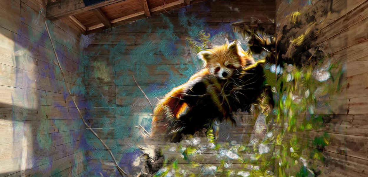 The Red Panda House | Nepali Times