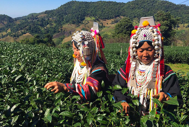 Akha journey to find a land of peace | Nepali Times