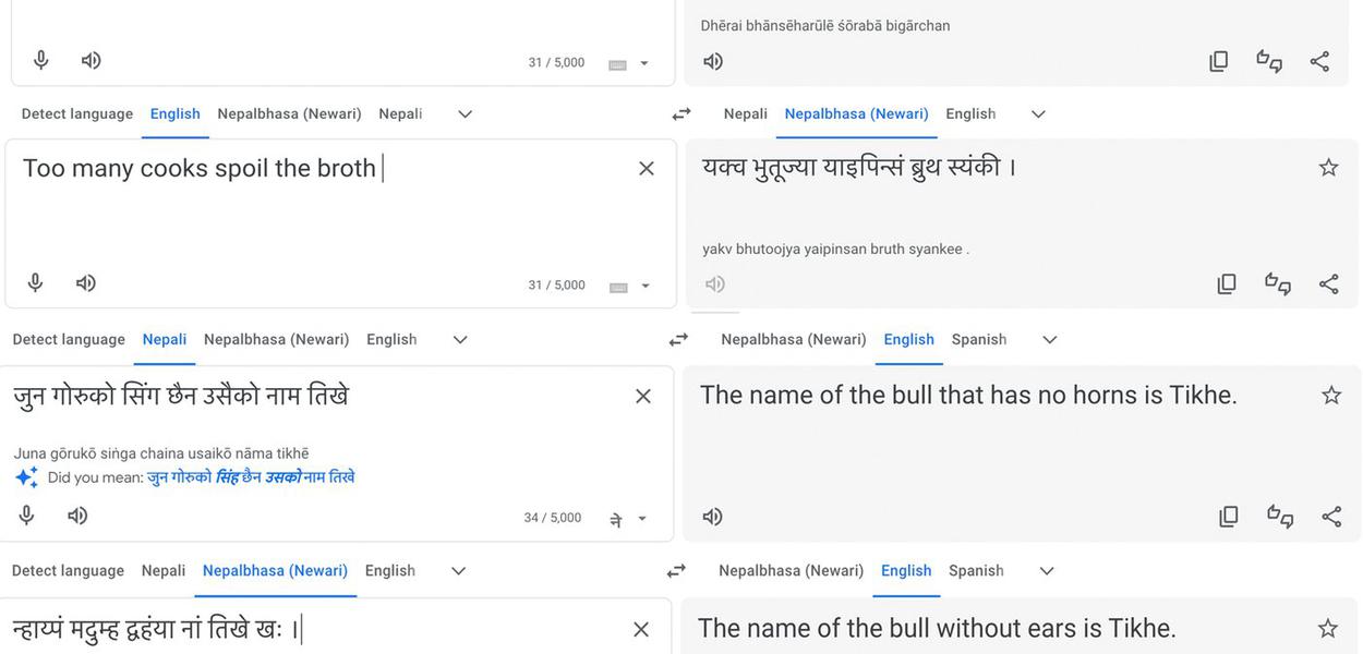 Nepal Bhasa on Google Translate | Nepali Times